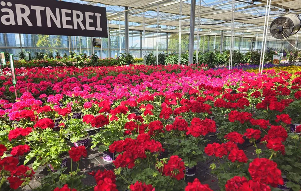 Gartencenter